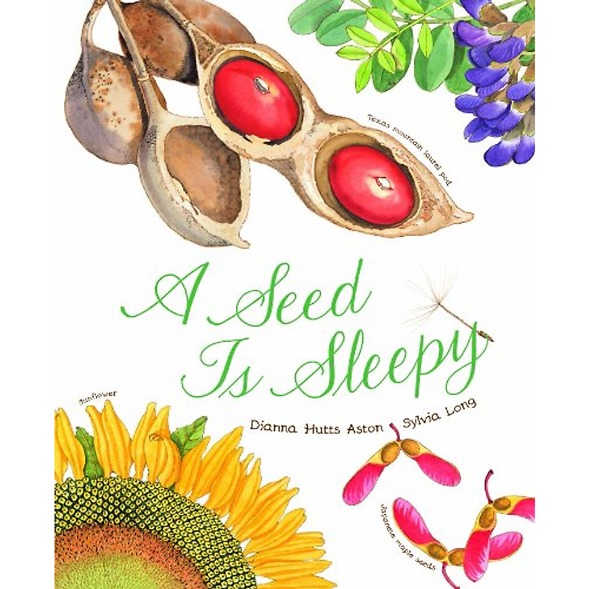 A Seed Is Sleepy: (Nature Books for Kids, Environmental Science for Kids) (Sylvia Long)