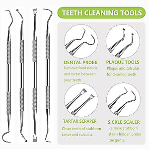 PARYUNGR Dental Tools Pet Dog Teeth Cleaner Tool Kit, Stainless Steel Plaque Remover Dental Picks Tooth Tartar Scraper, Pets Oral Care Hygiene Set for Cats and Dogs Use with Case