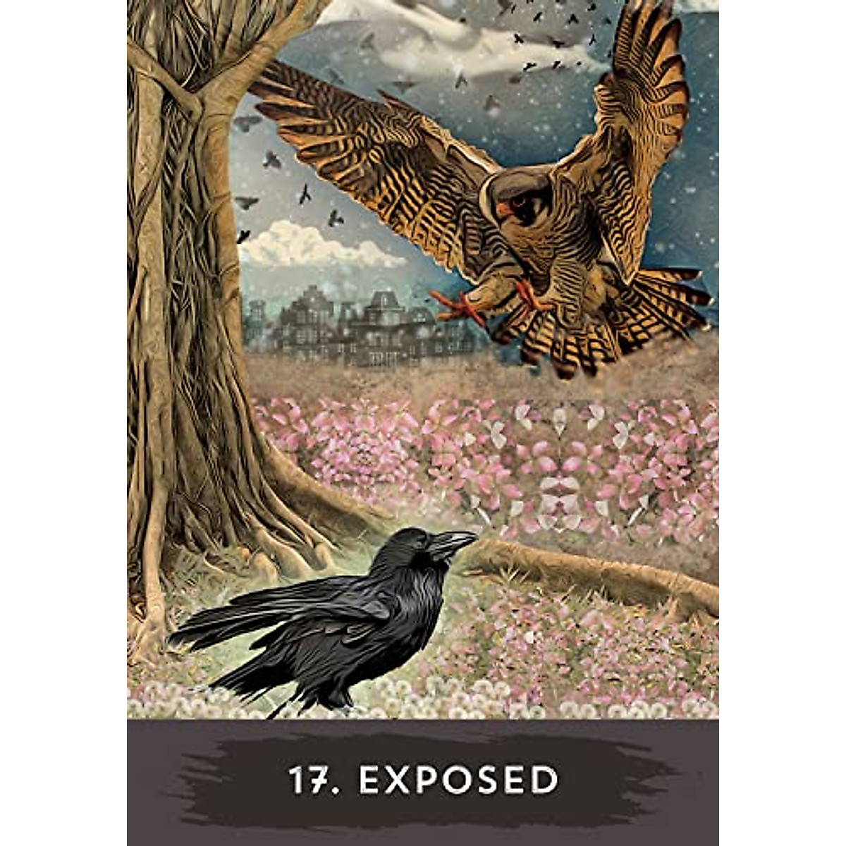 Urban Crow Oracle: A 54-Card Deck and Guidebook