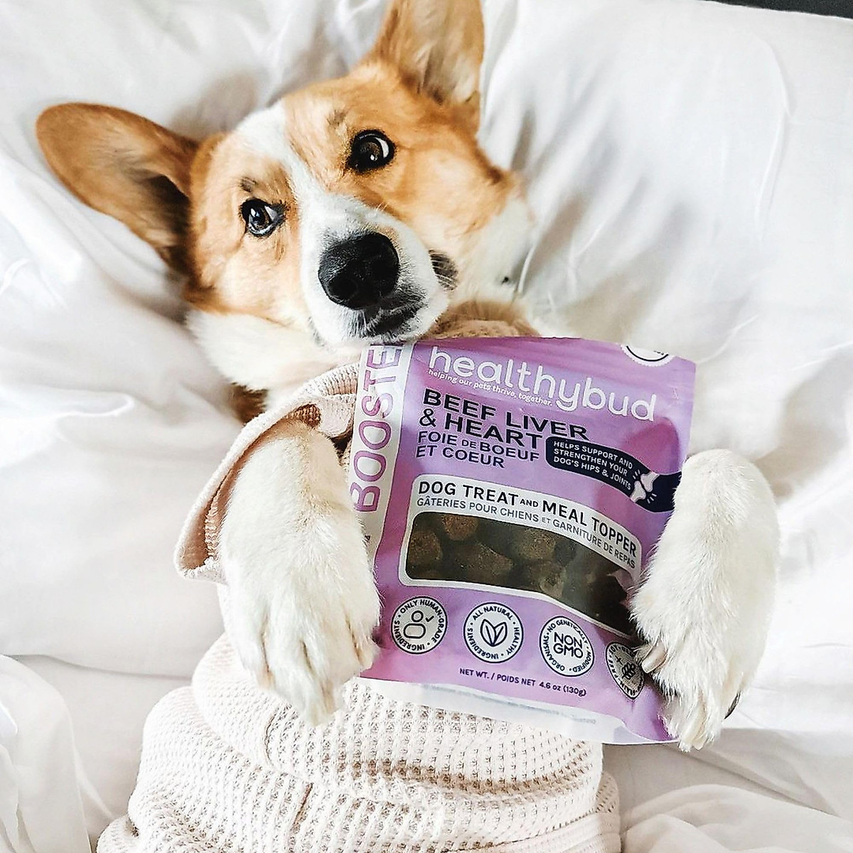 healthybud Hip and Joint Supplement Dog Treats - Glucosamine Soft Beef Liver Bites for Senior Dogs, Arthritis Support (4.6oz (2-Pack))