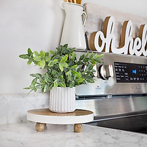 AuldHome Design Farmhouse Round Wooden Risers (Set of 2, White Trim), Rustic Decorative Risers for Display w/ Natural Mango Wood and Enamel Trim