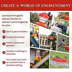 Hummingbird Market Hummingbird Nectar - Clear Powder w/ 3 Hydrating & Energizing Sugars, 5 Lb