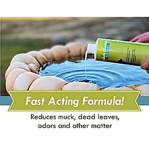 Sanco Bird Bath & Fountain Maintenance, Fast-Acting Enzyme-Based Formula Will Extend The Life of Your Water Feature, Aid in Maintaining a Balanced Ecosystem, 16 oz