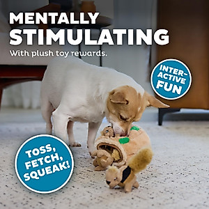 Outward Hound Hide A Squirrel Plush Dog Toy Puzzle, Small