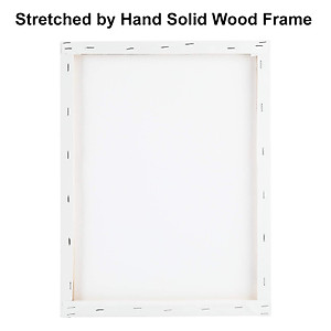 Laoife-11x14 Inch 8 Pack Professional Painting Canvas Panels Artist Blank Canvas Boards Multi Pack Wood Frame, Stretched Ready to Paint