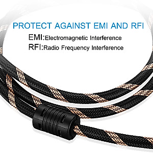 Dvi to Dvi Cable 65Ft,Nylon Braided DVI-D 24+1 Dual Link Male to Male Digital Video Cable Gold Plated with Ferrite Core Support 2560x1600 for Gaming, DVD, Laptop, HDTV and Projector (65Ft/20M)