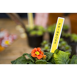 Brother PT1290 Home and Office Labeler