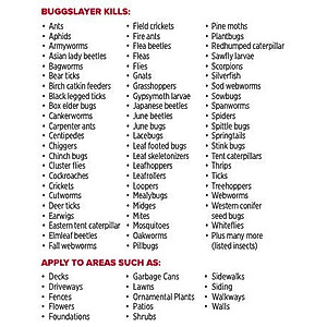 BUGGSLAYER Insecticide Concentrate 16-oz