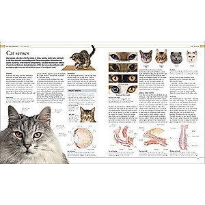The Cat Encyclopedia: The Definitive Visual Guide (DK Pet Encyclopedias)