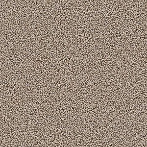 KOECKRITZ Sample Swatch (Unbound) - Speckled Elk - ECONOMICAL Solutions Collection | 25 Oz. Soft Textured 100% PureColor BCF Polyester. FHA Approved-CRI Green Label-Made in U.S.A.