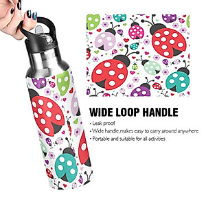 KEEPREAL Ladybug Water Bottle with Straw, 22 OZ Sports Water Bottle BPA Free Stainless Steel Water Jugs for Gym, Travel, Working, Outdoor