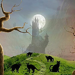 Anditoy 6 Pack Halloween Black Cat Yard Signs with Stakes Scary Silhouette Halloween Decorations for Outdoor Yard Lawn Garden Halloween Decor