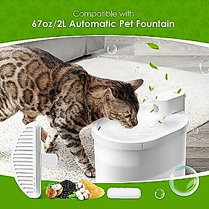 Cat Fountain Filters for Wireless Operated 67oz/2L, 6 Pack Replacement Filters & 12 Pack Replacement Filter Sponges for 67oz/2L Automatic Pet Fountain Cat Water Fountain Cat Water Dispenser