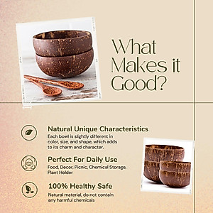 Natural Craft Coconut Bowls and Spoons set (Set of 4)