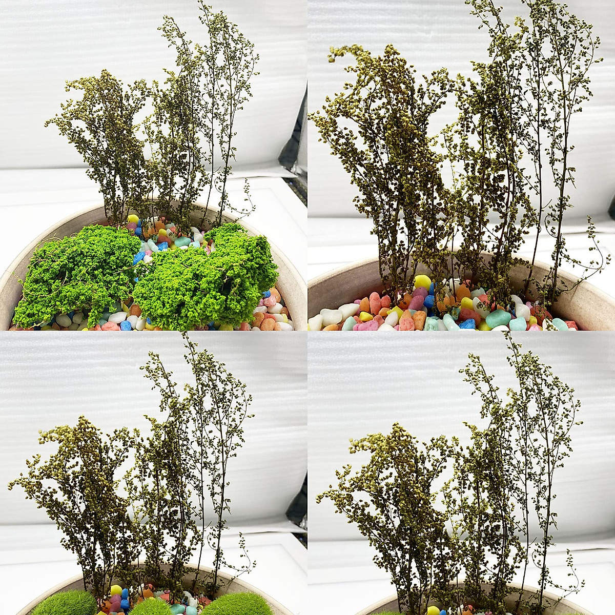 Cayway Miniature Shrubs Model Bushes Long Shrub Vegetation Groups Static Grass Tuft for DIY Model Train Landscape Railroad Scenery, Green