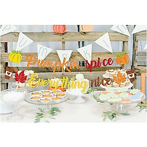 Pumpkin Spice and Everything Nice Banner Decor, Inspirational Autumn Sign, Autumn Fall Bulletin Board Decorations for Thanksgiving, Fall Party Decorations for Home Mantle Fireplace,Fall Harvest Banner