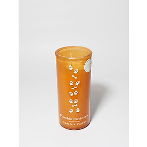 Sand + Paws Pumpkin Persimmon 10.5 oz Scented Candle - Autumn Home Fragrance, Neutralizes Odors, Sulfate Free, Cruelty Free – 100% Cotton Lead-Free Wicks - 10.5 oz
