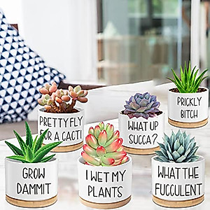 Succulent Pots 6 Pack, 3.15” Ceramic Funny Succulent Planters with Drainage and Bamboo Tray, Small Plant Pots with Plant Labels for Indoor Outdoor Plant, Birthday Gifts for Women - Plants Not Included