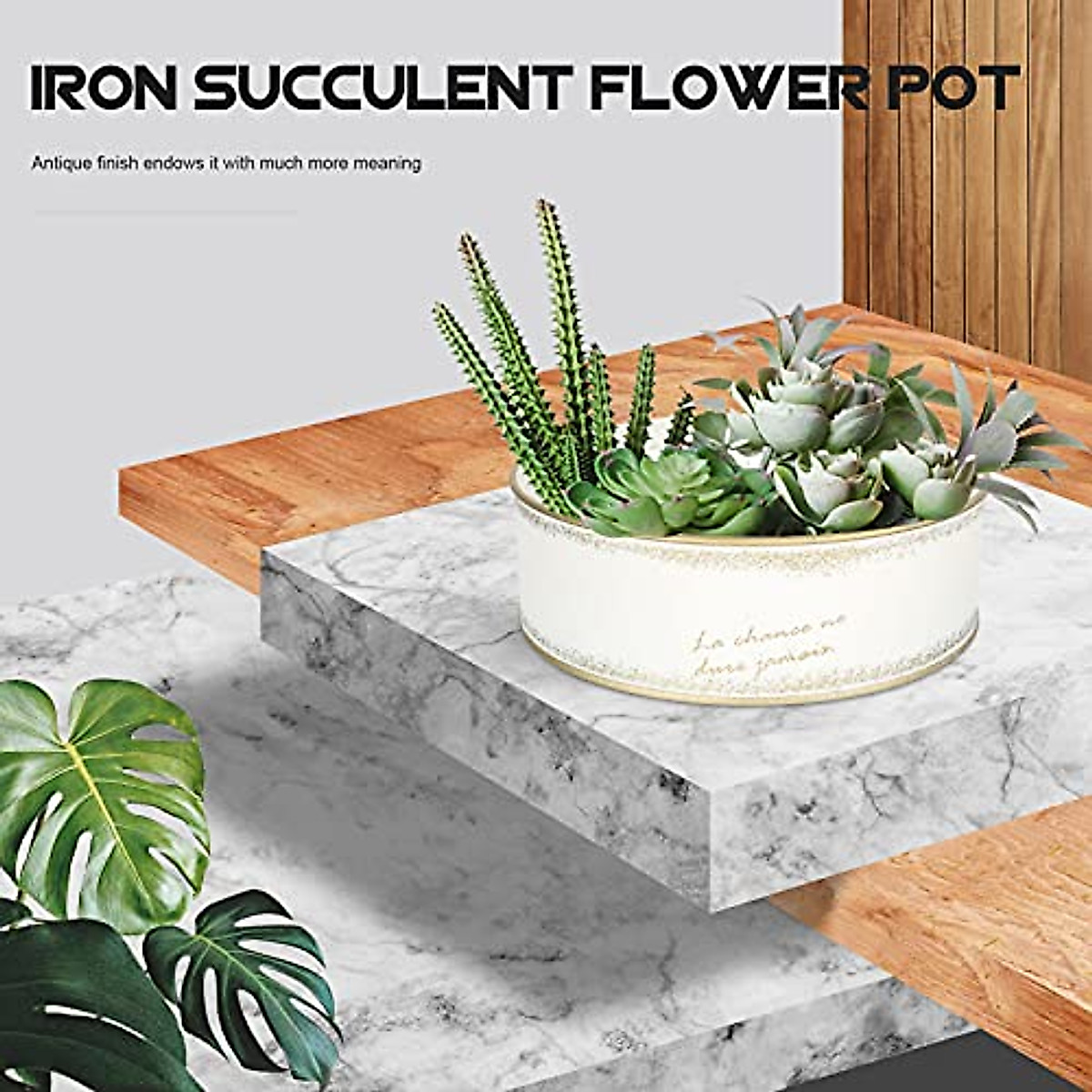 Happyyami 1pc Ring Flower Pot Metal Flower Planter Outdoor Planter Decorative Cute Flower Pot Table Plant Pot Succulent Pot Retro Planter vase Front Door White Small Cactus Iron Office