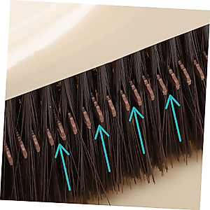 HONMEET 1 Set Broom Set Home Broom Dustpan Kit Carpet Rake for Pet Hair Hand Broom Cleaning Outdoor Tools Standing Dustpan Dust Pan Handle Broom Wok Household Brooms Kitchen Brooms Plastic