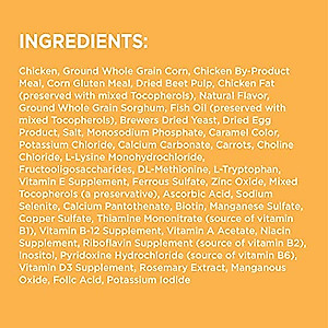 IAMS Proactive Health Smart Puppy Small Breed Dry Dog Food with Real Chicken, 7 lb. Bag