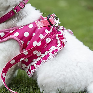 BARKLESS Cute Small Dog Harness, Ladies Polka Dots Dog Vest Harness Set with Pink Leash and Bowknot Collar, 3 in 1 Girl Style Vest Harness Set for Puppy and Cat (XL, Pink)