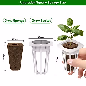 LYKO Basil Cilantro Dill Mint Seed Starter Kit for Hydroponics Growing System, Vegetable Pod Kits for Planting Indoor Garden 500+ Seeds (Basil, Parsley, Oregano, Thyme, Mint, Cilantro & Dill) 7 Pods