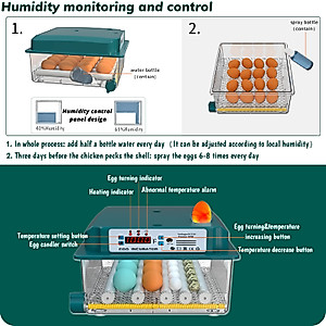 Hethya Pro16 Eggs incubators for Hatching Eggs Fahrenheit with Automatic Turner Chicken Incubators Farm Poultry Incubators