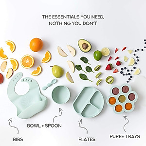 Simka Rose Baby Food Storage Containers - Freezer Safe Tray Silicone Baby Food Freezer Storage Tray Molds Breast Milk Freezer Tray - 2.5 Oz BPA Free with Clip-on Lid for homemade Purees & Breastmilk