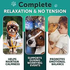 Artullano Hemp Calming Chews for Dogs - Advanced Dog Calming Treats - Dog Calming Chews - Anxiety Relief Treats - Thunderstorms, Separation Aid, Barking, Stress Relief - Hemp Oil - 70 Chews