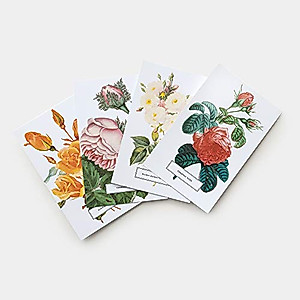 Roses: 100 Postcards from the Archives of The New York Botanical Garden
