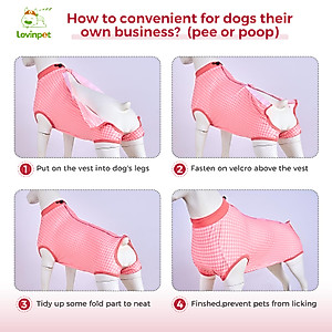 LovinPet Dog Surgical Recovery Suit Male - Surgery Suit for Dogs Female & Male Anti-Licking Protection Full Body Coverage for Anti-Shedding