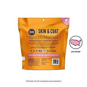BIXBI Skin & Coat Support Salmon Jerky Dog Treats, 10 oz - USA Made Grain Free Dog Treats - Antioxidant Rich to Support Shiny, Full Bodied Coats - High in Protein, Whole Food Nutrition, No Fillers