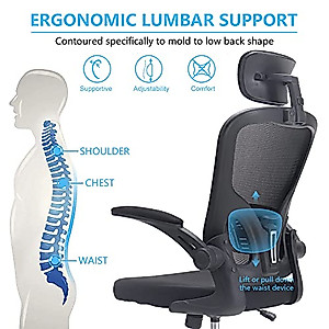 ALEAVIC Ergonomic Office Chair, High Back Office Chair, Home Office Desk Chair, Breathable Mesh Office Chair, Comfort Swivel Task Chair with Flip-up Arms and Adjustable Height (Black)