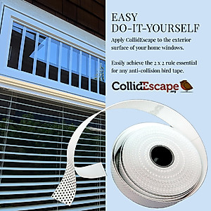 CollidEscape Spiderweb Clear Bird Tape for Windows (3/4" x 40' - Covers 2 to 3 Windows) | Window Decals to Prevent Bird Strike Prevention for Windows | Clear
