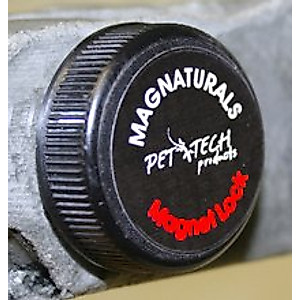 Magnaturals 37099 Rock Ledge Extra Strength Magnets, Large, Earth