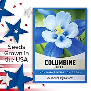 Blue Columbine Seeds for Planting (Aquilegia Seeds) - Beautiful Blue Perennial Flower to Plant in Your Flower Garden Open Pollinated, Non-GMO by Gardeners Basics