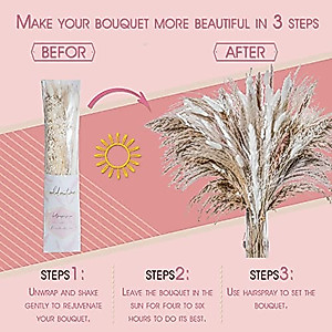 86PCS Natural Dried Pampas Grass Bouquet,Boho Home Decor Bouquet, Phragmites Dried Flowers,Bouquet for Wedding Floral Arrangements Home Decorations