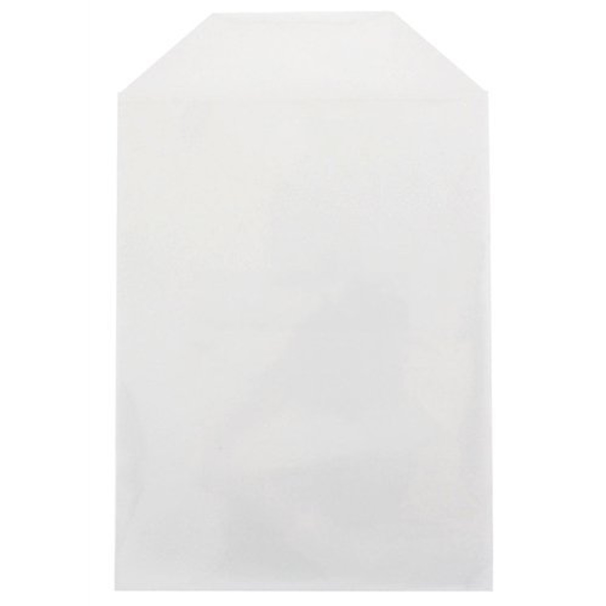 100 Clear CPP Movie Plastic Sleeves + 2 Disc Non-Woven Sleeves by StarTechDeals