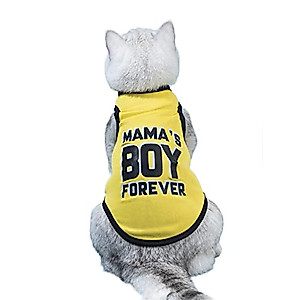 QWINEE Dog Shirts Mom Boy Pet T Shirts Tank for Dogs & Cats,Puppy Shirts,Breathable Letter Pet Clothes for Small Medium Dogs Cats Yellow A Medium