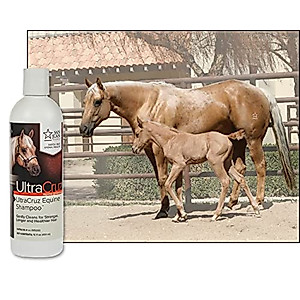 UltraCruz - sc-395292 Equine Horse Shampoo, 16 oz
