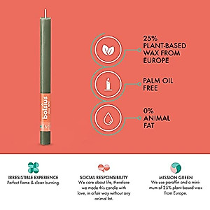 BOLSIUS 16 Fresh Olive Rustic Household Candles - 10.5 Inch - Premium European Quality - 13 Burn Hours - Natural Eco-Friendly Plant-Based Wax - Unscented Dripless & Smokeless Party Décor Candlesticks