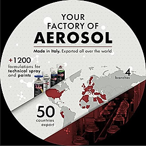 Ambro-Sol V400PAST5 Multi-Purpose Acrylic Spray Paint, Vibrant Paint for indoor and outdoor, Suitable for Multiple Surfaces, NET WT. 10.40 OZ. 400ml, Recyclable Tin Plate Spray Can, Gloss Black