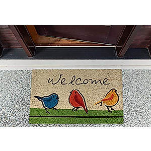 DII Natural Coir Doormat Outdoor Welcome Mat, 17x29, for The Birds