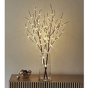 LITBLOOM Lighted Brown Willow Branches 30IN 100 LED with Timer Battery Operated, Tree Branch with Warm White Lights for Holiday Christmas Decoration Indoor Outdoor Use