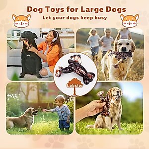 HJLSWXKQ Dog chew Toys for Aggressive chewers,Indestructible Dog Toys, Interactive Dog Toys，Aggressive chew Toys for Large Dogs， Dog Toys to Keep Them Busy，Nylon Beef Flavor