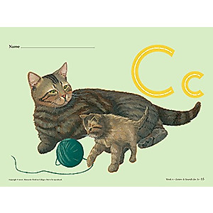 Letters and Sounds for 3s - Abeka 3 Year Old Alphabet Recognition Reading Program Student Work Book