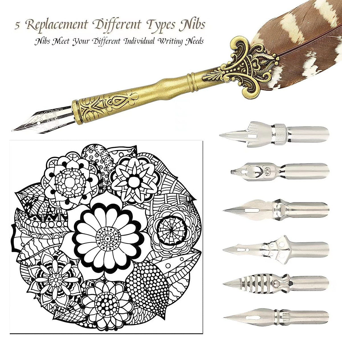 Quill Pen and Ink Set Feather Pen with Ink and 6pcs Nibs Calligraphy Pens for Beginners for Lettering,Drawing, Journaling, Signing, Invitation HO-Q-300