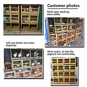 Pigeon Cage Breeding Cage for Pigeon Pairing Cage Bird Cage Pigeon Nest Box Carrier Combination Package Nest Nest Rest and Pairing