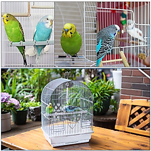 Capuca Small Bird Travel Cage - Lightweight Small Birds Starter Kit with Birdcages and Accessories Great for Parakeets Lovebirds Parrotlets Finches Canaries